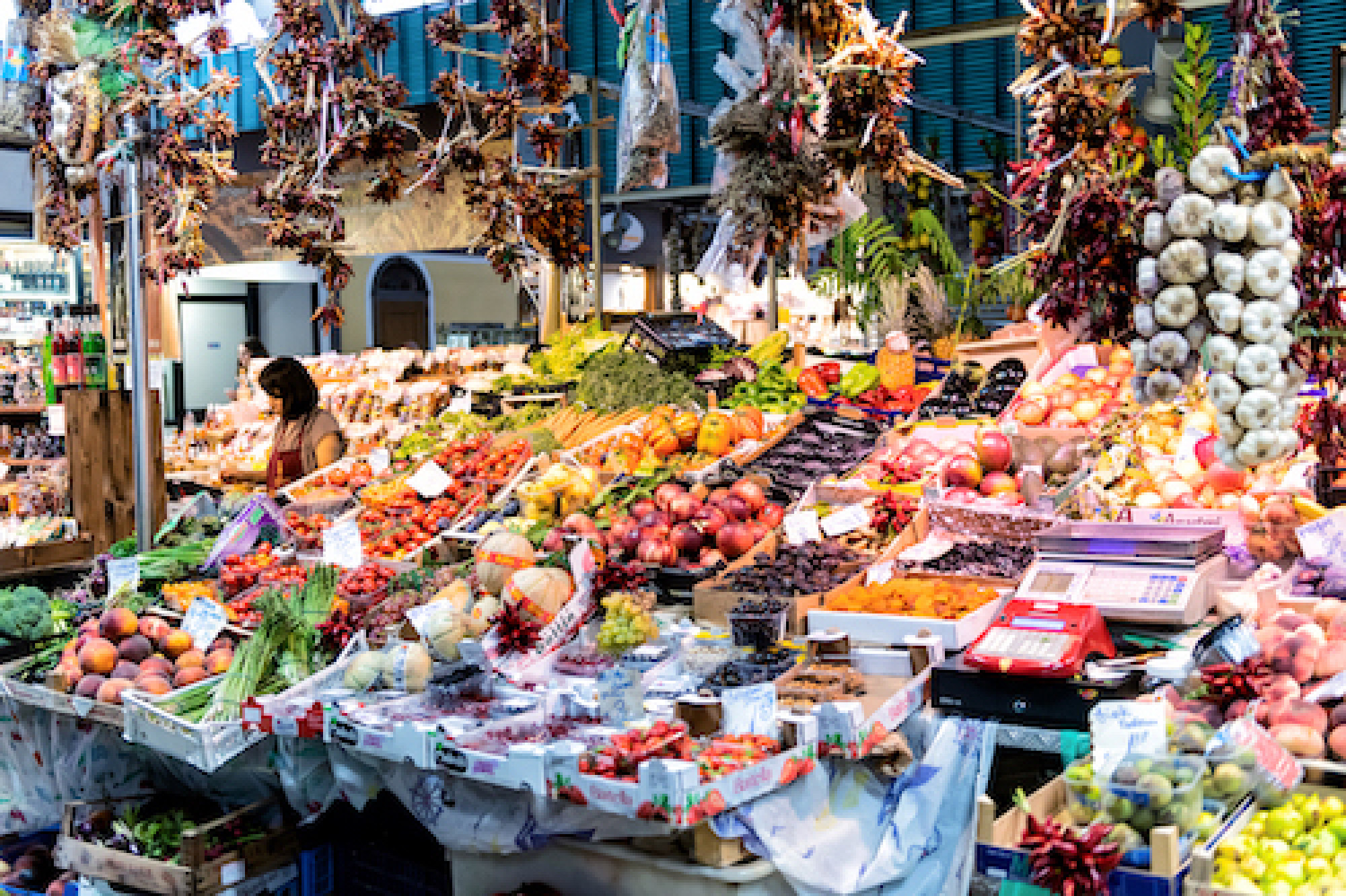 Experience Florence, Italy. Like a Local, Explore, and Connect
